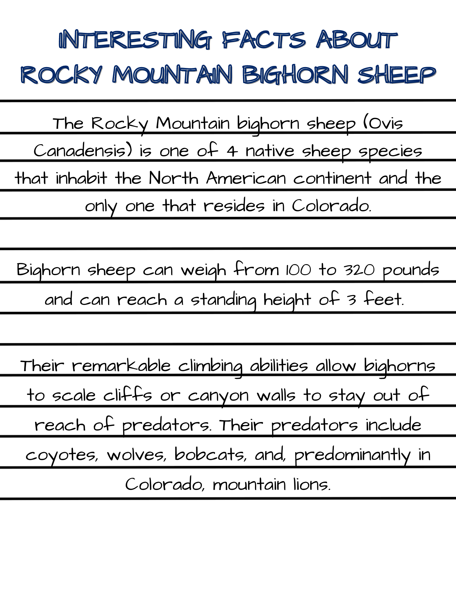 bighornsheep