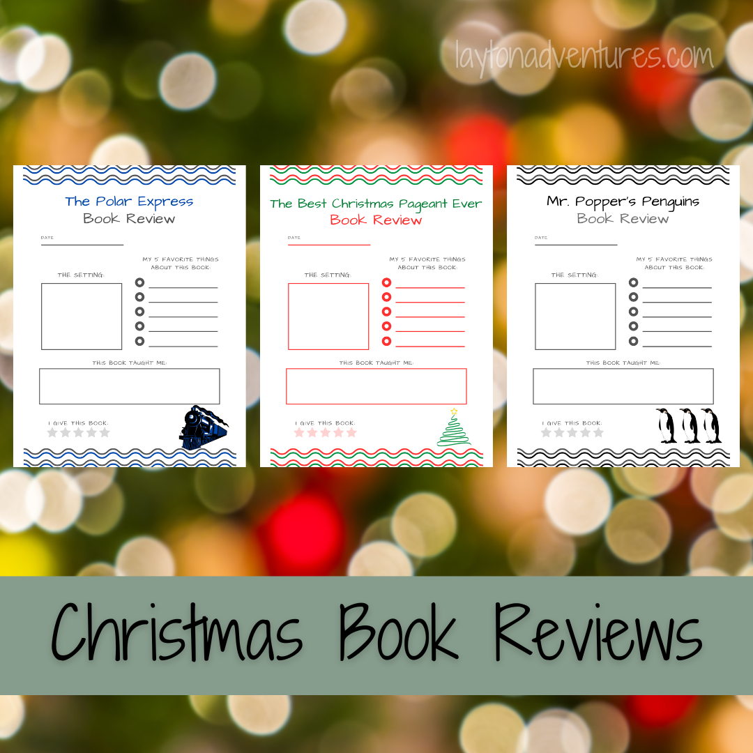 Christmas Book Reviews